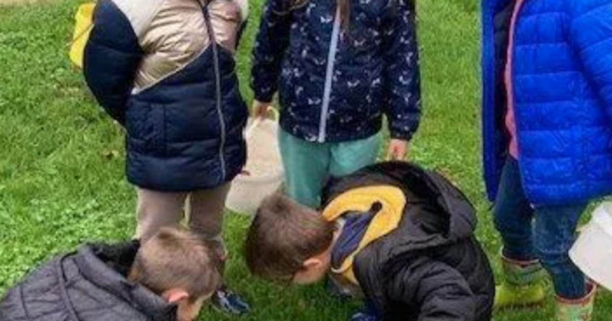 classe-dehors.org : Plancoët. Les élèves de CP et CE1 font classe dehors
