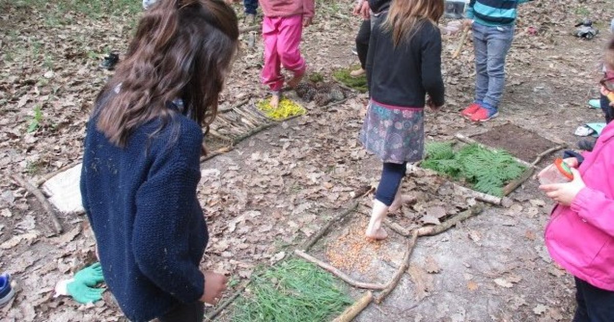 classe-dehors.org : Séance collaborative pour une découverte ...